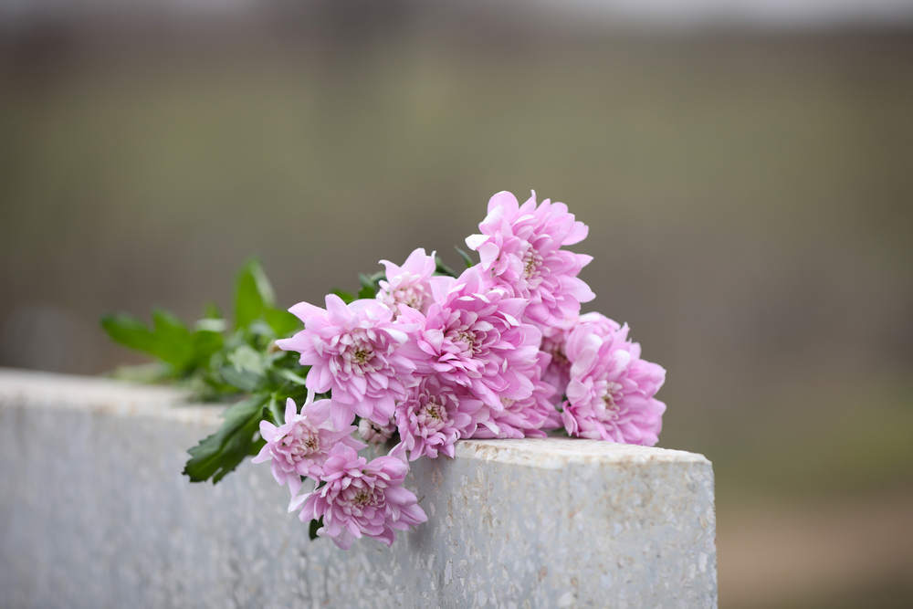 Kapų sutvarkymas ir priežiūra | Eram service